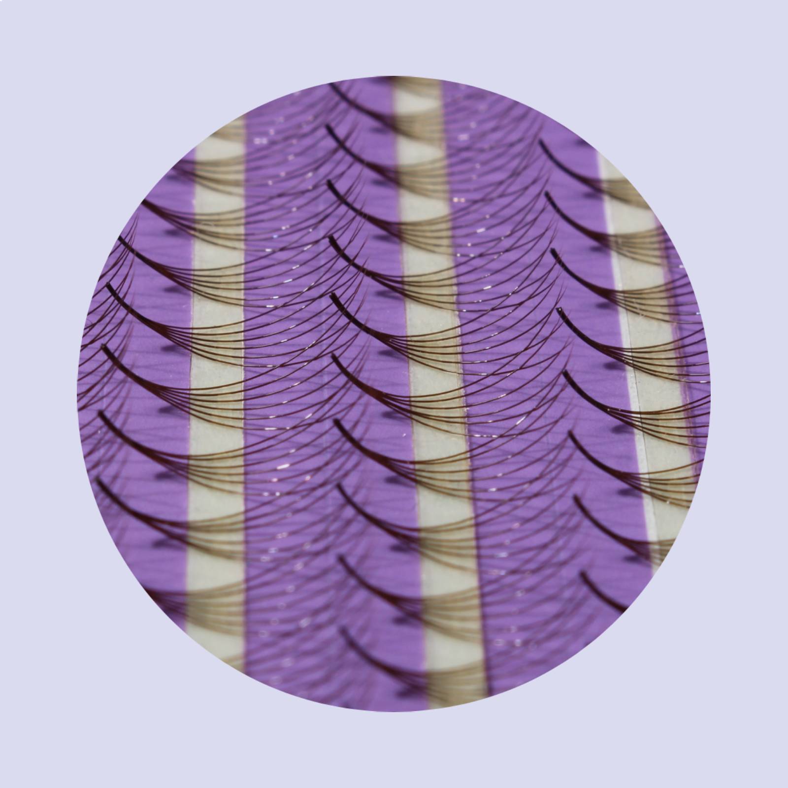 6D COLOR PROMADE LASH FANS XL MIXED LENGTH (8-15MM)